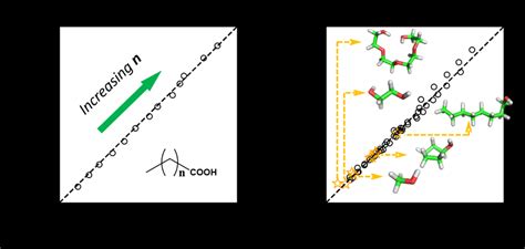 Performance Of The Predicted Partition Coefficient Log P Pred By Download Scientific Diagram