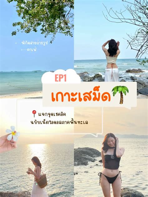 แจกพิกัดเกาะเสม็ด Ep1🌴🧡🌊🐚 แกลเลอรีที่โพสต์โดย Catstoryy Lemon8