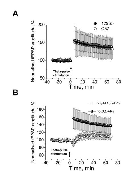 Theta Pulse Induced Ltp In Hippocampal Slicesrecorded By 5 × 13 3d
