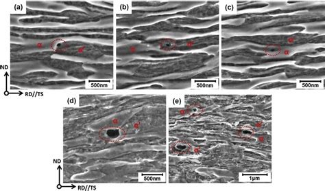 Sem Observations Near The Fracture Surface Of The Tensile Samples Download Scientific Diagram