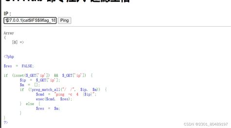 ctfhub—rce 通关笔记 ctfhub rec csdn博客