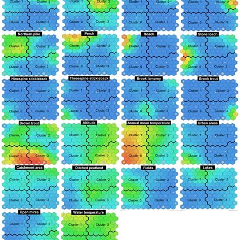 Self‐organizing Maps Of 22 Predictors With Four Clusters Separated By Download Scientific