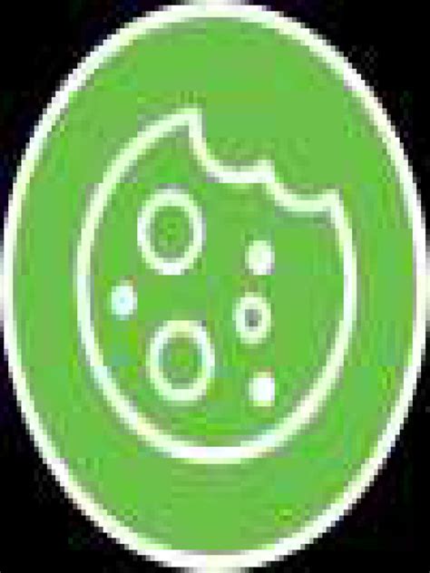 Ot Persistent Cookie Pdf