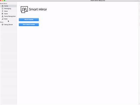 Setting Up The Debug Hub For External Requests Smart Mirror Project