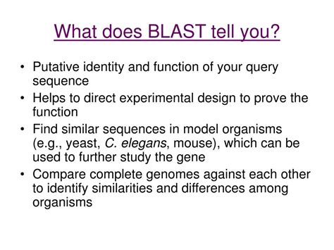 PPT Introduction To Bioinformatics PowerPoint Presentation Free Download ID 490257