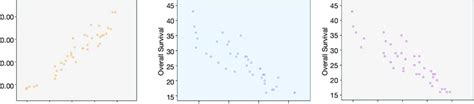 Correlation Of Os And Tumor Angiogenesis A The Expression Of Vegf