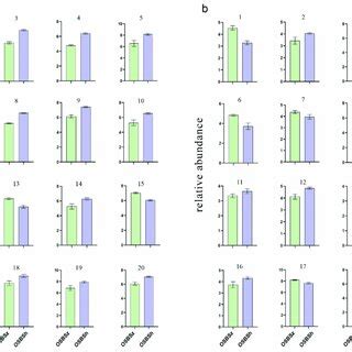 Differentially Expressed Metabolite Classification Pie Chart A