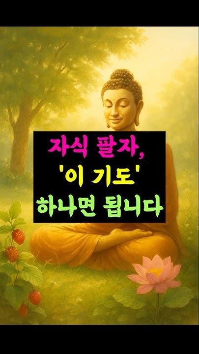 자식 팔자 이 기도 하나면 됩니다 부처님말씀불교철학명언마음공부자기수행석가모니지혜부처님가르침인생조언석가모니불교가르침불교명상 Youtube