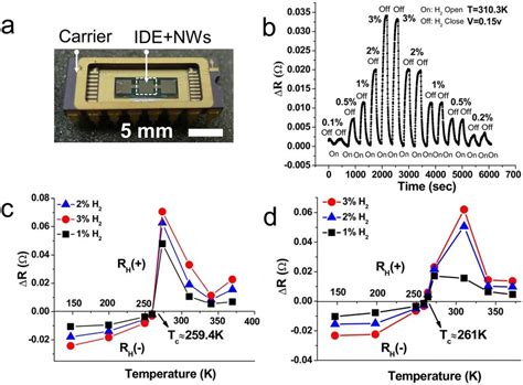 Hydrogen Sensor Prototype And Sensing Response A The Hydrogen Download Scientific Diagram