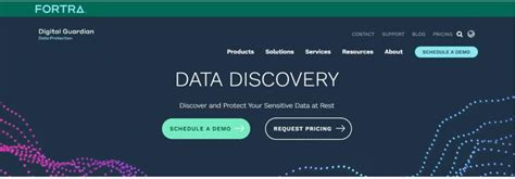 7 Best Sensitive Data Scanners For 2025