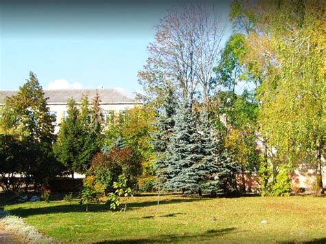 Школа №6 в м Житомирі Інформаційно ознайомчий сайт школи