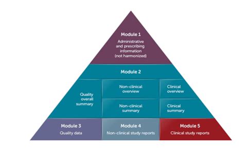 Best Practices for a Successful eCTD Submission サターラ