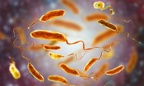 Rising Cases Of Flesh Eating Bacteria Know The Symptoms Conservative
