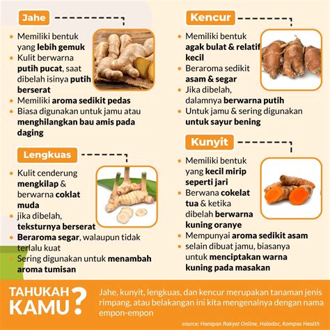 Tips Membedakan Jahe Kunyit Lengkuas And Kencur Sekejap Lebih Cerdas