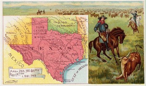 Texas Collection History Archive