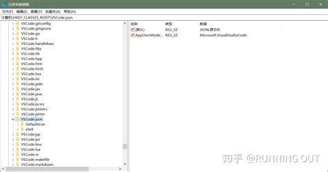 vs code关联的文件图标都变成了vs code的默认图标？ 知乎