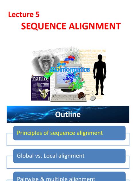 Sequence Alignment Principles Explained Pdf Sequence Alignment