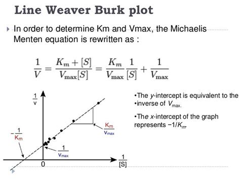 Enzyme Kinetics