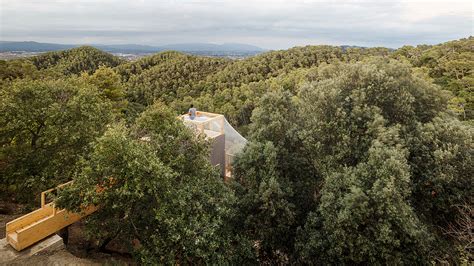 Observatorio Flora Revista Plot