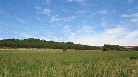 Станислав Костов ЕК може да започне процедура срещу България заради промените в Закона за