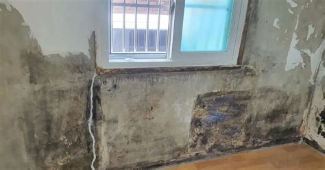 곰팡이처리전문 도배업체 바르고도배 숨고 숨은고수