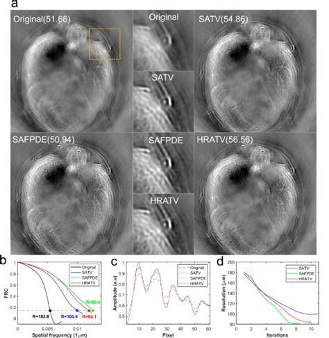 Deconvolution Results Of Mouse Liver A Original Image And Images Download Scientific Diagram