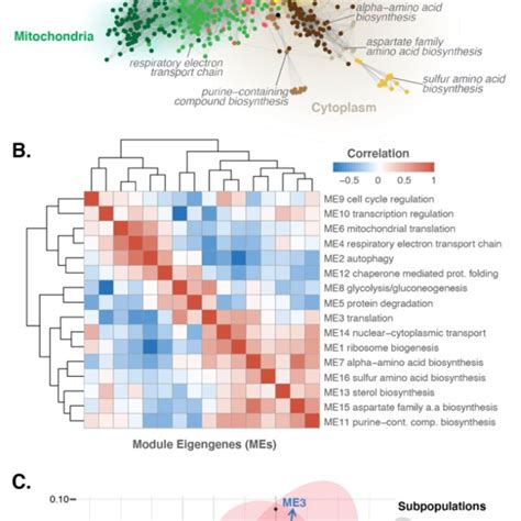 Whole Population Level Gene Coexpression Network A Co Expression Download Scientific Diagram