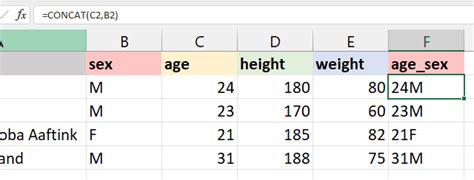 The 15 Basic Excel Formulas Everyone Needs To Know Datacamp