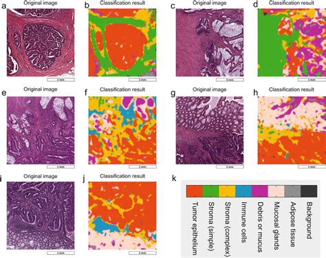 Application Of Trained Classifiers To Unknown Images Aj After Download Scientific Diagram