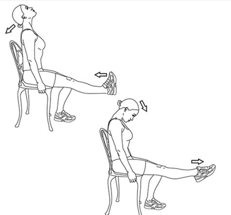 Ultimate Guide To Nerve Flossing And How It Can Help You Physiotherapists In Toronto