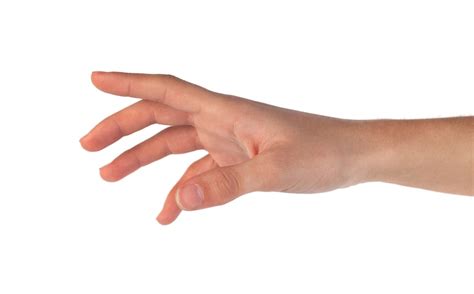 Hand Without Background Images Free Download On Freepik