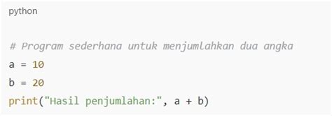 5 Bahasa Pemrograman Terbaik Dan Populer Untuk Pemula