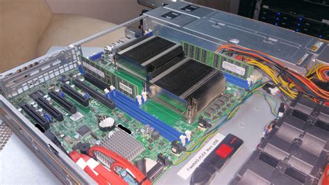 PLEX Dedicated Server UPDATED Builds Gg