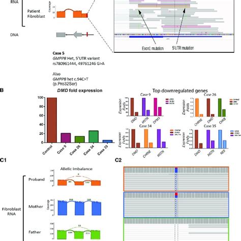 Analysis Of Variants Expression Profiles And Allele Specific Download Scientific Diagram