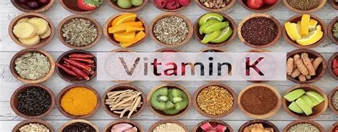 ۷ نشانه مهم کمبود ویتامین K در بدن دندانپزشکی دکتر مهدی علی بیگی در تهران