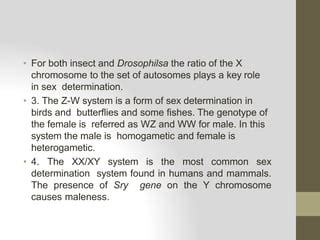 SEX DETERMINATION Pptx Biological Sciences Science