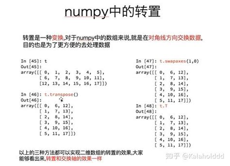 Python Numpy