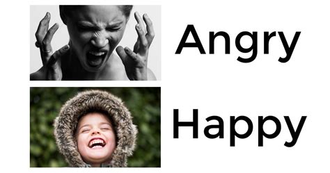 chapter 40 building a real time image recognition app using core ml · intermediate ios 17