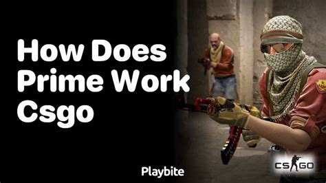 How Does Prime Work In CS GO Playbite