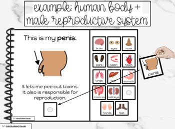 Human Body And Organs Sexual Reproductive Areas ADAPTED BOOK Grade Sex Ed