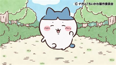 더쿠 [먼작귀] 내일 일본방영애니 선행컷 앞머리 가르마 하치와레