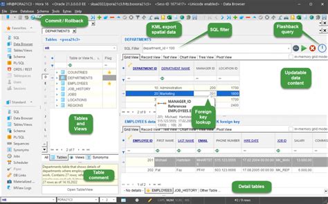 keeptool professional edition best oracle database tools