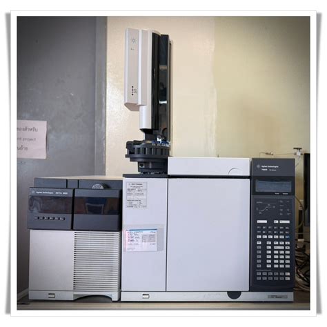 Gas Chromatography Mass Spectrometry Gc Ms