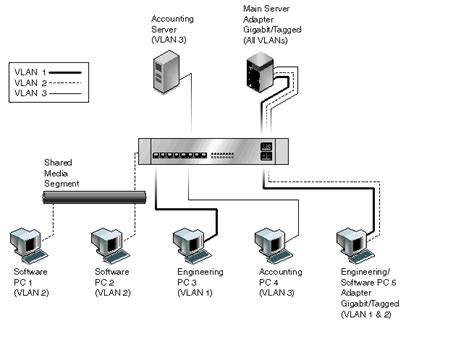 Vlan 이해 Vlan이란 무엇이며 어떻게 작동합니까 Ascentoptics 블로그