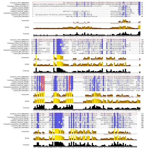 Fig S3 Full Length Multiple Sequence Alignment Of Alpha Type Carbonic Download Scientific