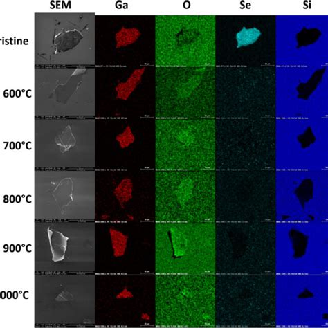 Edx Maps Of Oxidized Gase On 300 Nm Sio2 Si As A Function Of The