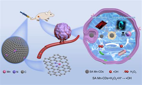 Low Coordination Mn Single Atom Nanozymes Enable Imaging Guided Cancer Therapy Chinese