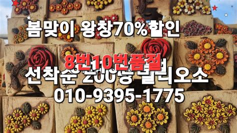 봄맞이 왕창70할인행사 다육 다육화분 분갈이흙 화분 010 9395 1775 Youtube