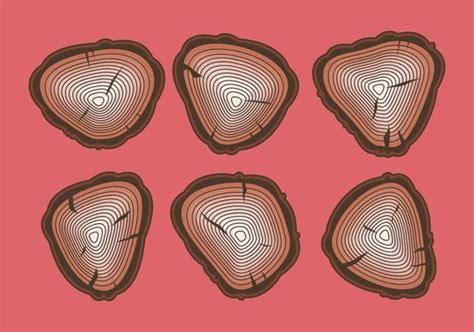 Tree Rings Vector Art Icons And Graphics For Free Download