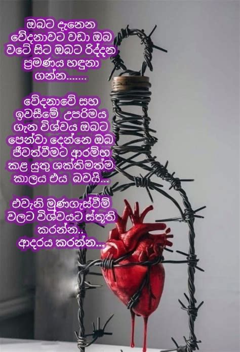 හිත හදන වදන් ආදරණීය පැතුම් 🖤 ️